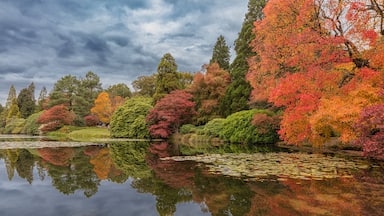 Haywards Heath