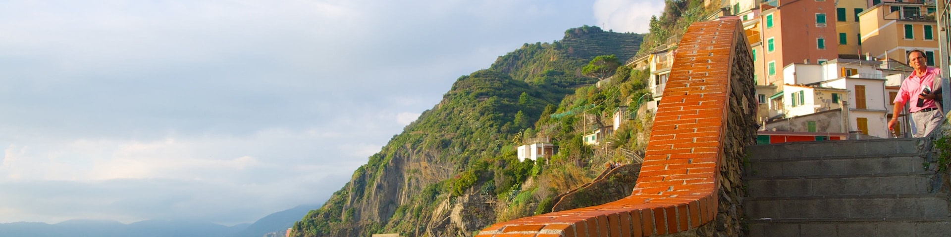 Riomaggiore showing a coastal town and general coastal views