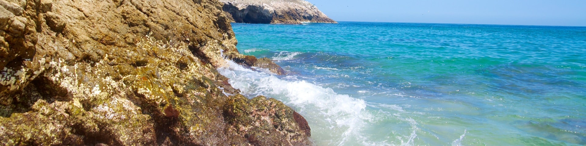 Puerto Vallarta que inclui uma praia, litoral rochoso e ondas