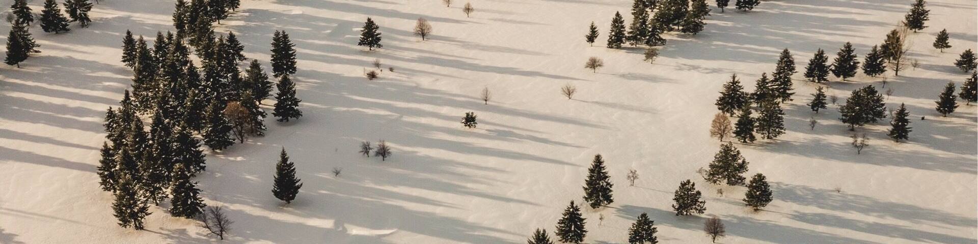 Breathtaking winter views in Missoula, MT ❄️