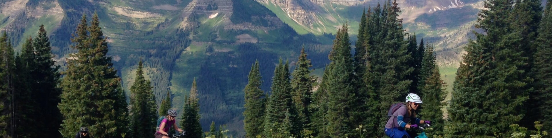Gunnison - Crested Butte showing wildflowers, mountains and landscape views