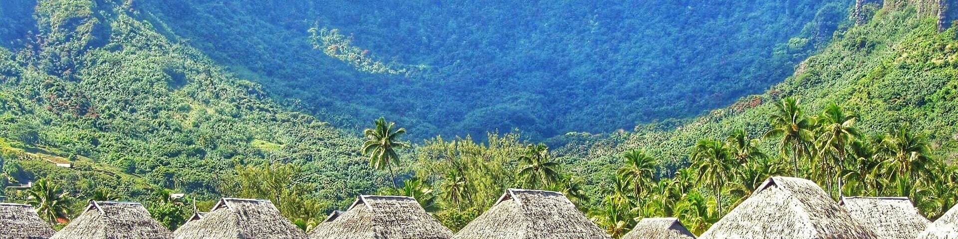 Tahiti is truly one of the most stunning places on the planet. The water is the most incredible shades of blue. #green