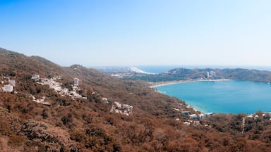Paisagem costeira com uma baía rodeada por colinas, edifícios e florestas densas.
