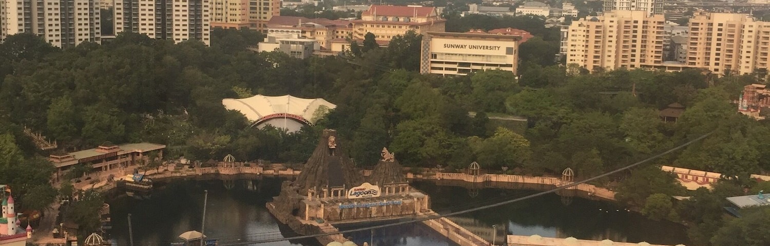 A lagoon in the middle of skyscrapers.
#urbanjungle