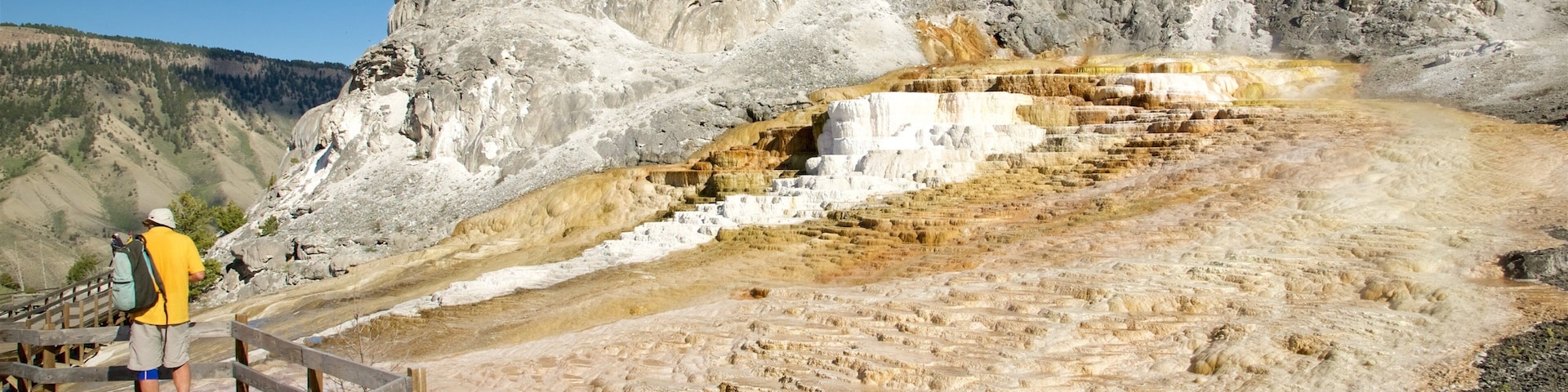 Mammoth Hot Springs