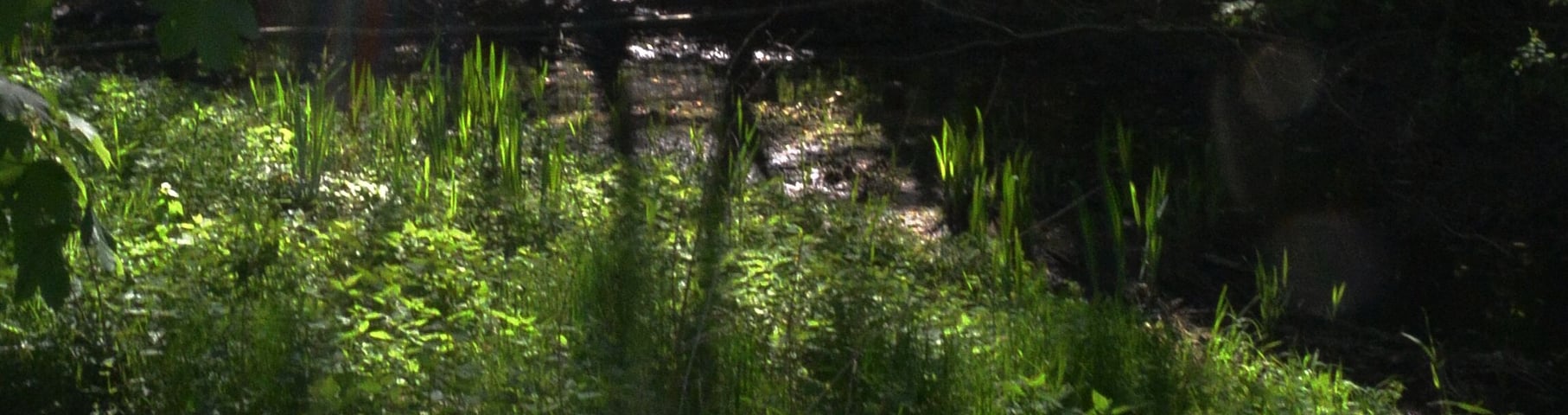 Landschaftsschutzgebiet Osdorf, Hamburg