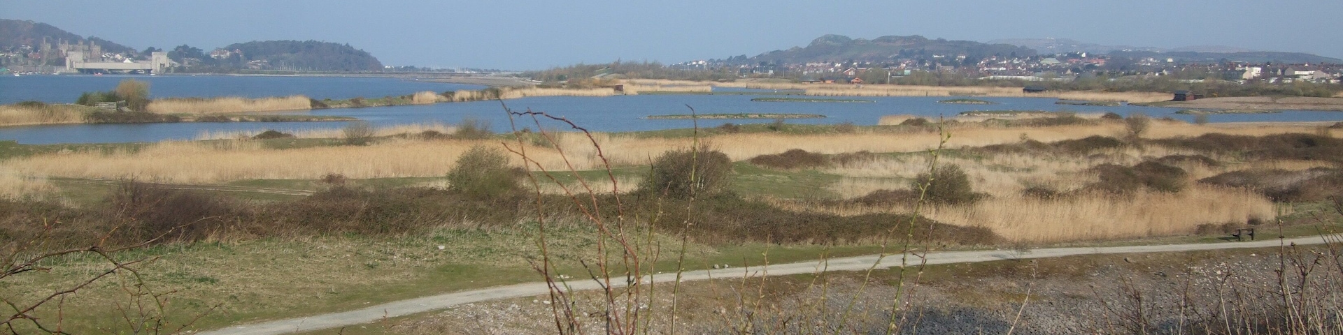 View to southern end of RSPB Sanctuary Llandudno Junction As viewed from the layby on A470 at Glan Conwy. A popular spot for twitchers.Conwy Castle is to the far distant left of photograph.