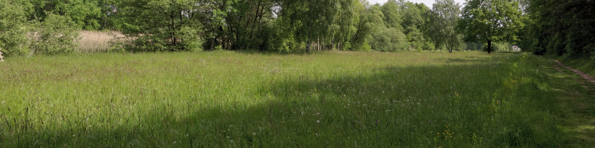 Nature reserve ”Rodauwiesen bei Rollwald“ near Rodgau, Hessen, Germany.