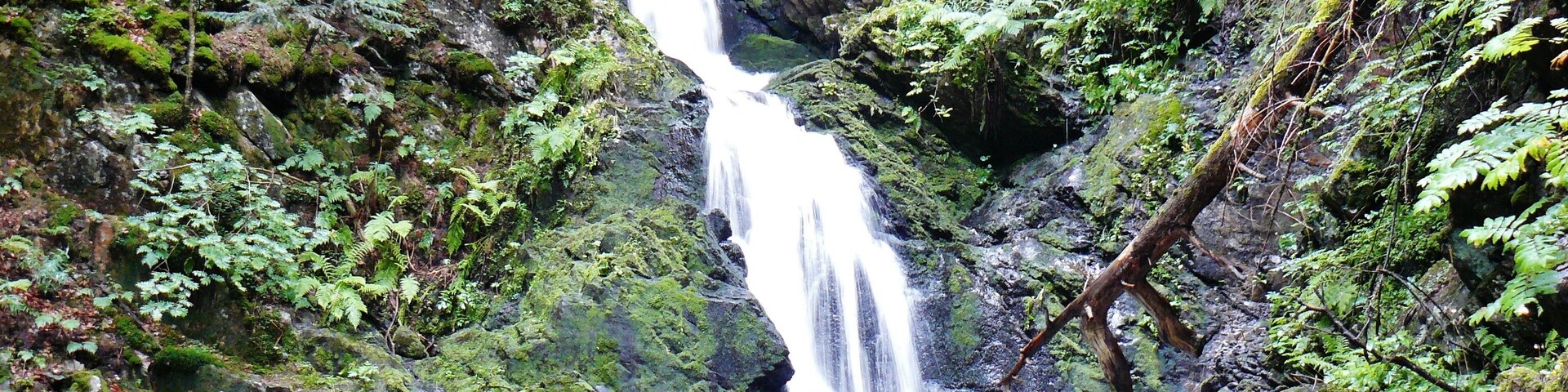 Falkauer Wasserfall Haslach in Vorderfalkau