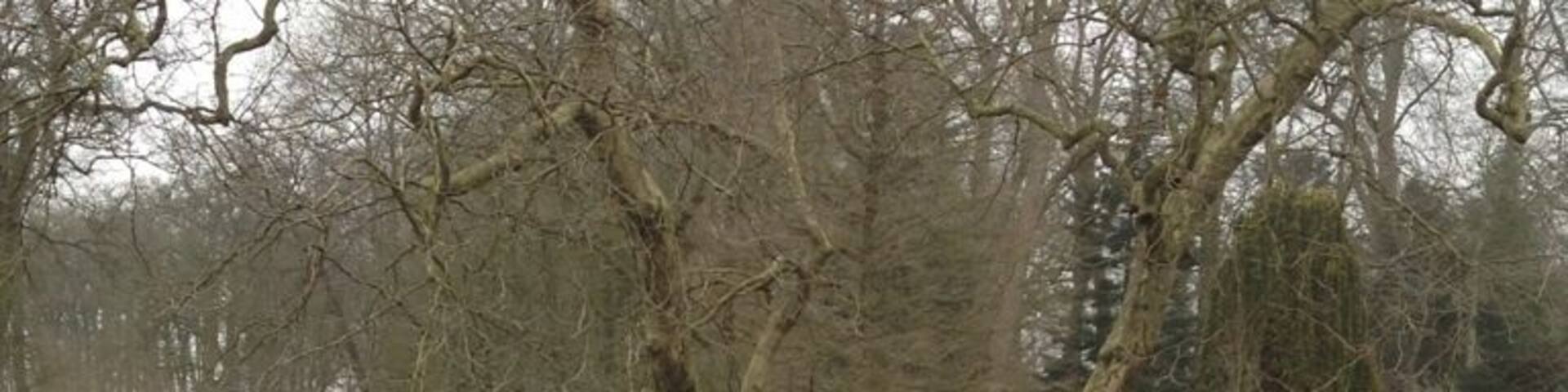 Symmetry at work, at this palace for ...ducks.