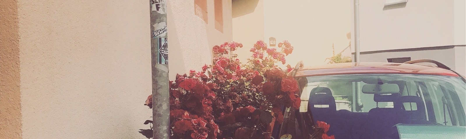 German Streets Are The Best Streets 
#germany #Europe #flowers #photooftheday #travel #travels