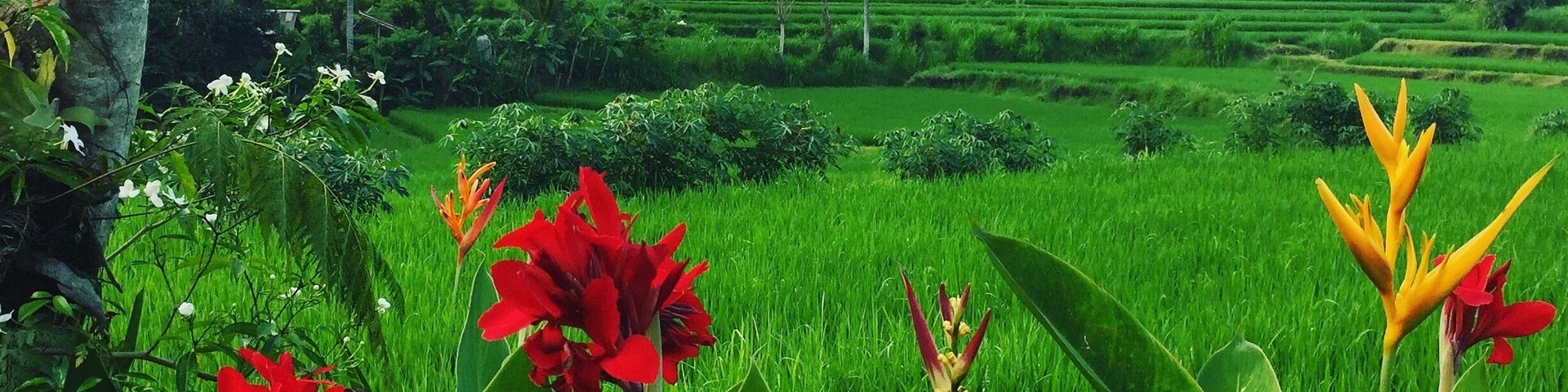Peaceful Balinese Spa in the Rice Fields... #lifeatexpedia
