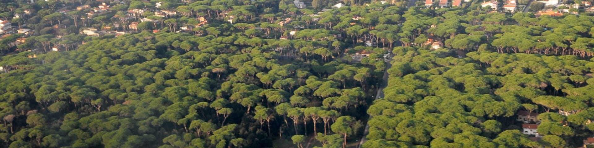 Aerial view of Viale della Pineta di Fregene. The Tyrrhenian Sea with the beaches is seen in the background.