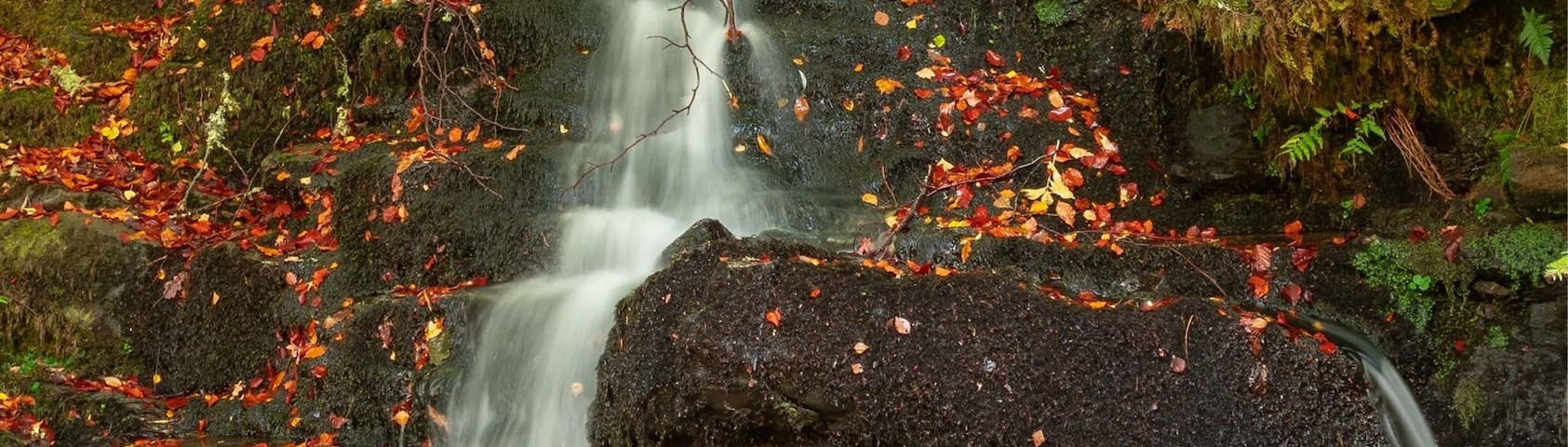 Wonderful autumn colours in Perthshire
