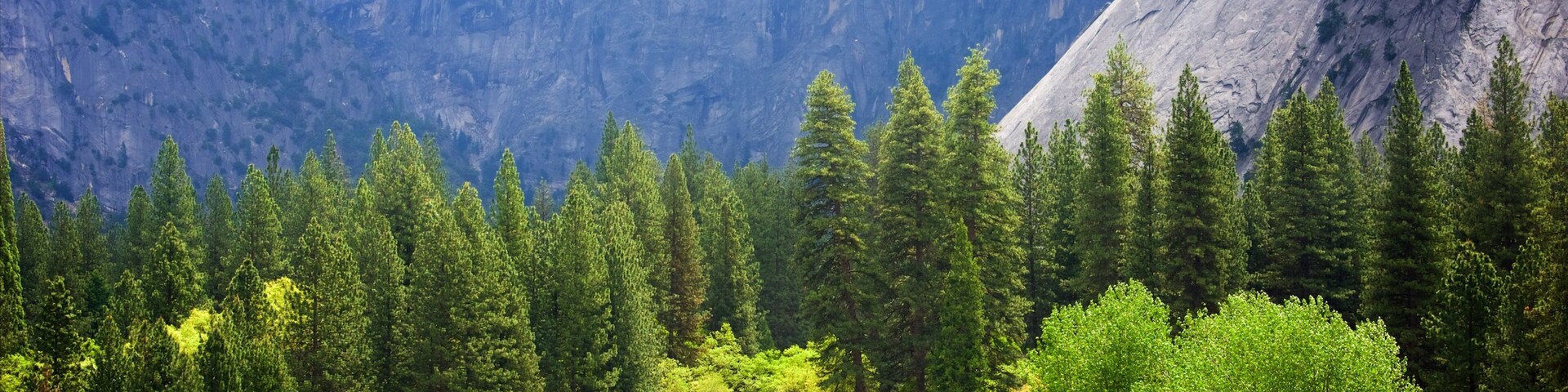 Yosemite National Park which includes tranquil scenes and forest scenes