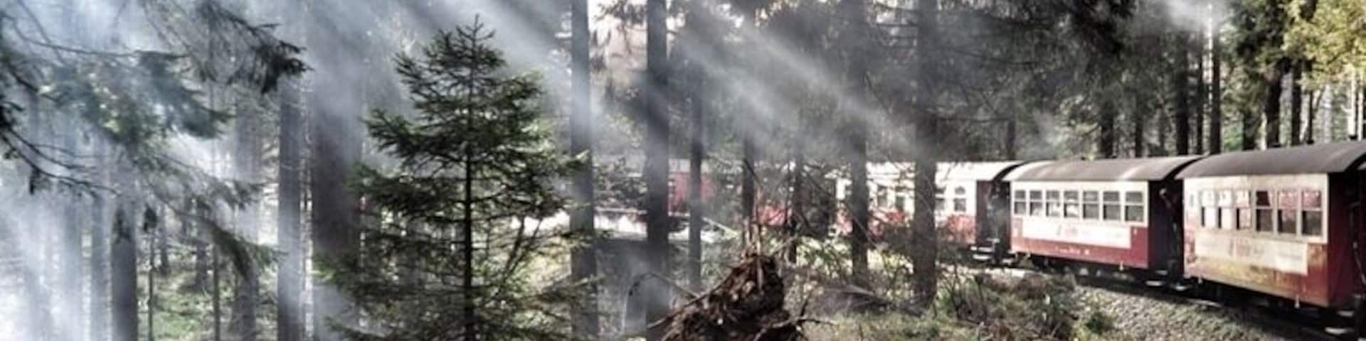 The Brocken Railway (German: Brockenbahn) is one of three tourist metre gauge railways which together with the Harz Railway and Selke Valley Railway form the Harz Narrow Gauge Railways railway network in the Harz mountain range of Germany.
Steam locomotive 99 7243:
It runs from the station of Drei Annen Hohne at 542 m (1,778 ft), where it joins the Harz Railway, via Schierke and the Bode River valley to the summit of the Brocken, the highest mountain of the Harz at 1,141 m (3,743 ft) and part of the Harz National Park.