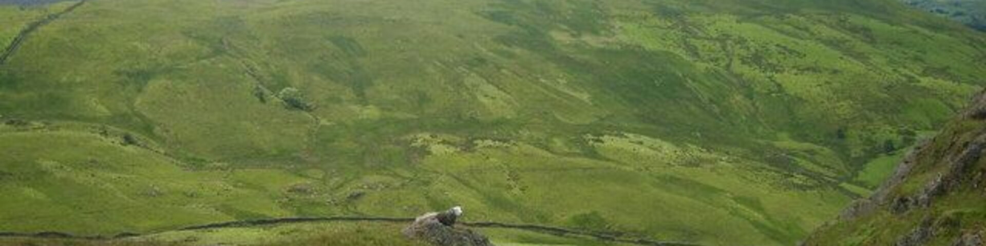 Um vale verde com um muro de pedra e uma ovelha ao longe.
