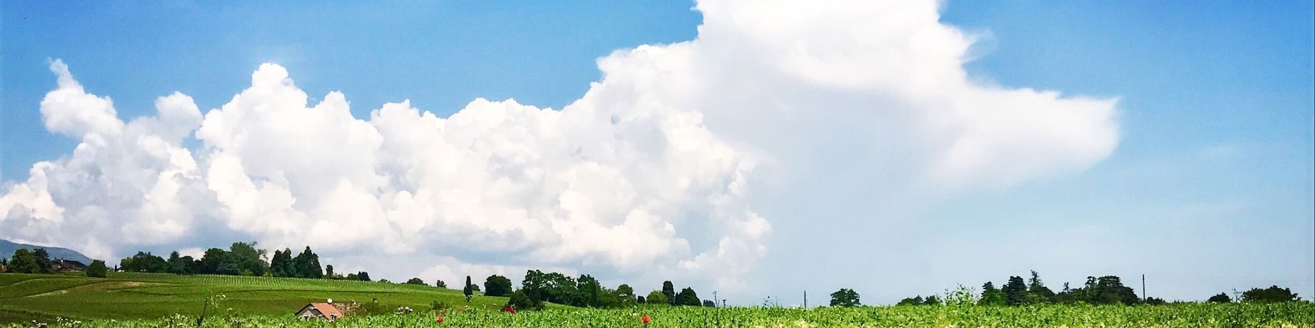 Geneva is ideally situated to explore the surrounding lake and countryside areas. There are countless smaller towns and villages within easy reach of the city just waiting to be discovered by adventurous day trippers #LifeAtExpedia