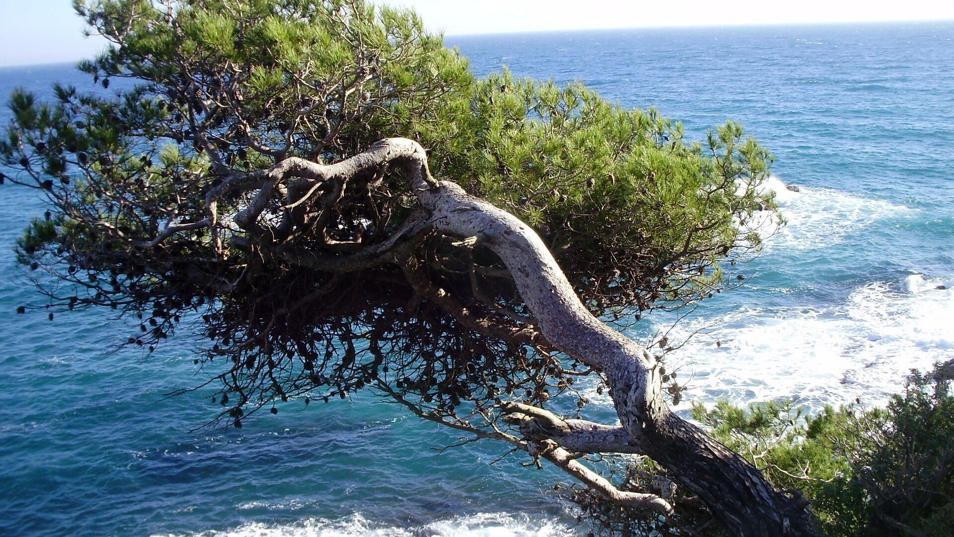 Equilibri? i tant! Camí de ronda Palamós-Platja D'aro