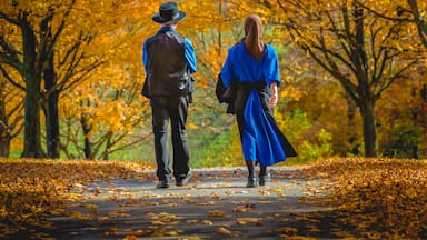 Um casal caminhando por um caminho coberto de folhas em um parque com árvores de tons outonais.