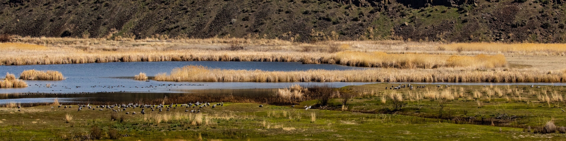 Paisagem costeira com um penhasco rochoso, um corpo de água e áreas gramadas.