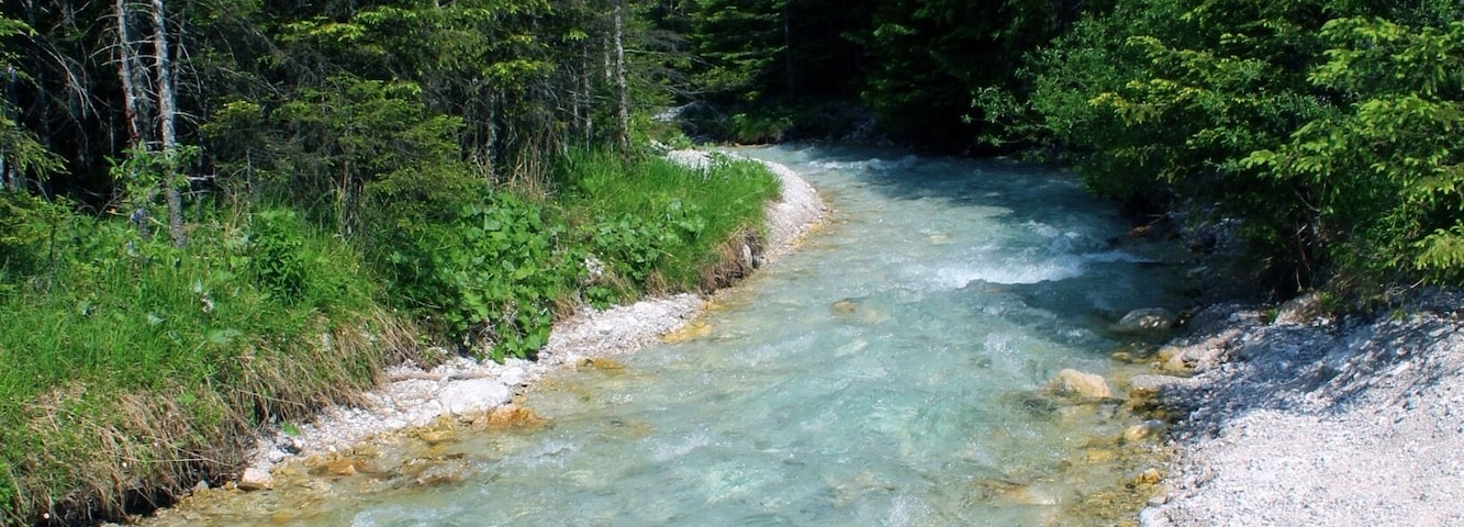 Beautiful colour of water in forest.