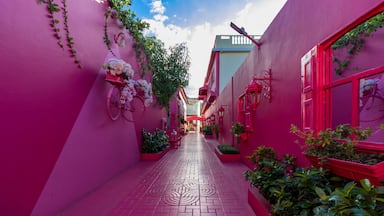Uma passagem estreita com paredes cor-de-rosa, portas vermelhas e vasos de plantas.