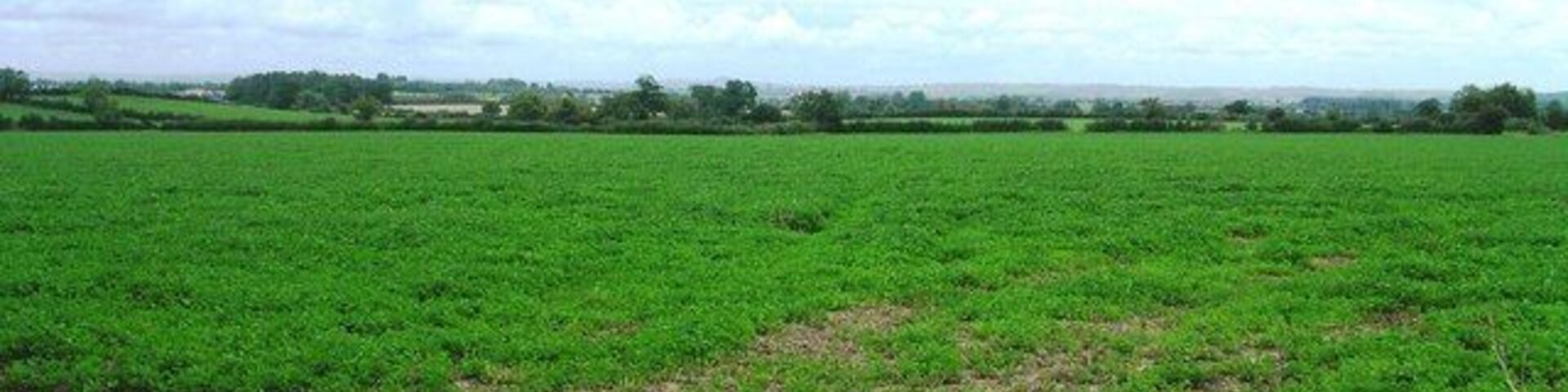 Bondip Hill facing East View from lay-by on Bondip Hill facing east across fields