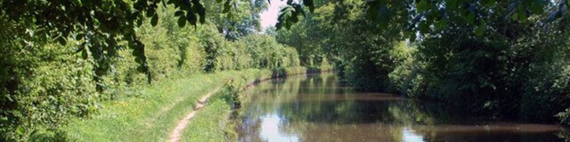 A quiet moment on the Llangollen Canal.
