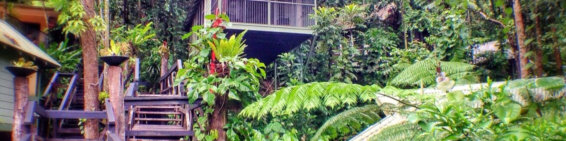 The Daintree Ecolodge is an amazing property located in the Daintree Rainforest in northern Queensland, Australia. The oldest rainforest in the world, it's really amazing to sleep high among the trees, listening to the local birdsong and the rain showers.