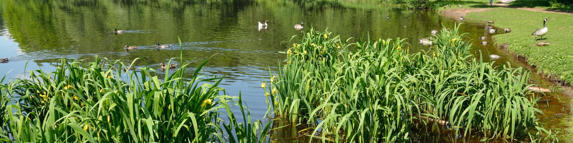 This image was uploaded as part of Wiki Loves Earth 2014.