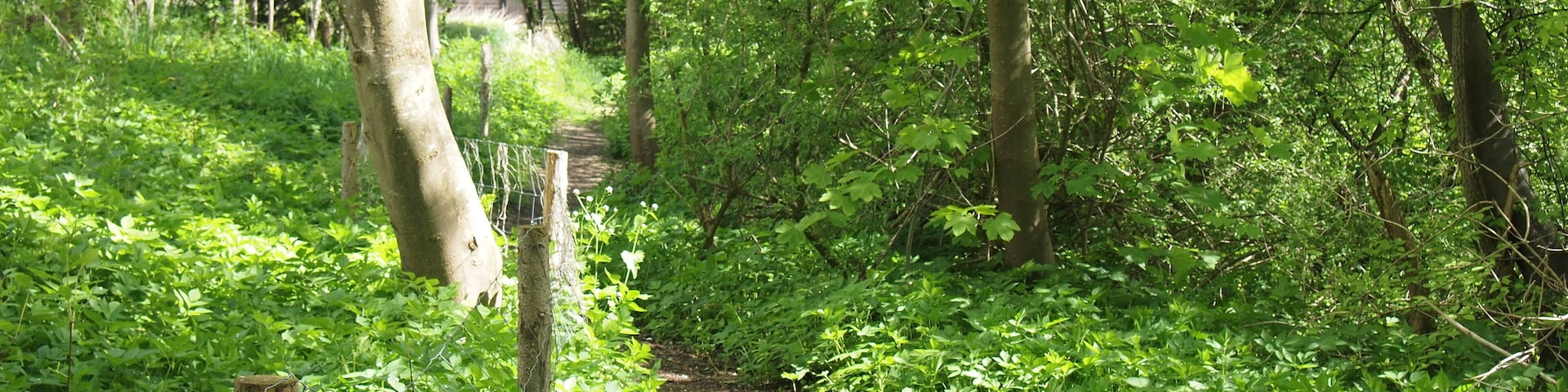Wertachwanderweg Kaufbeuren auf Höhe des Puppentheaters an der Honoldstraße