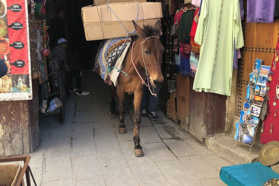 Um burro com selim em uma viela de mercado, cercado por lojas e roupas penduradas.