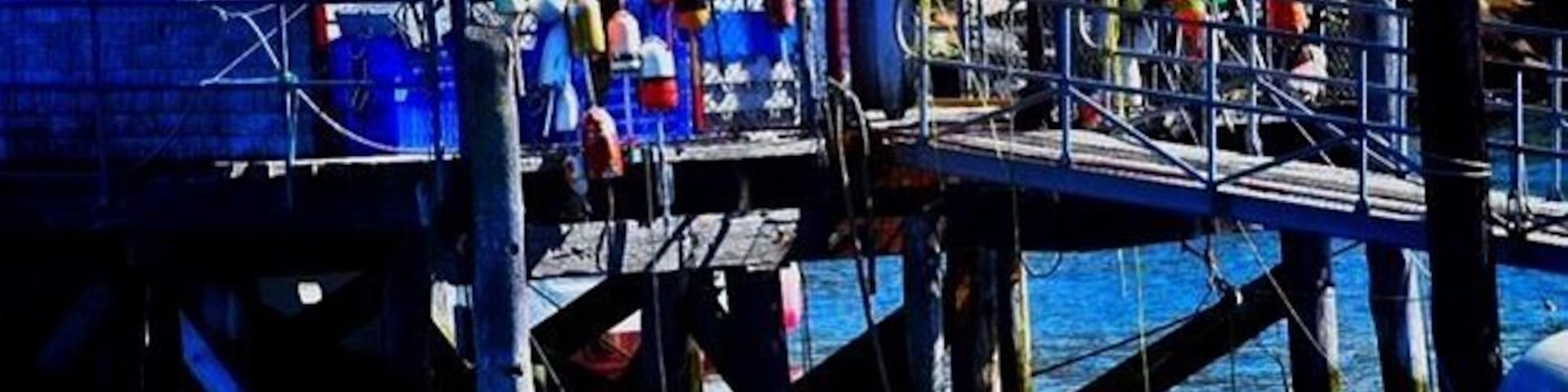 Lobster Fishermen use this ward to unload their catch.