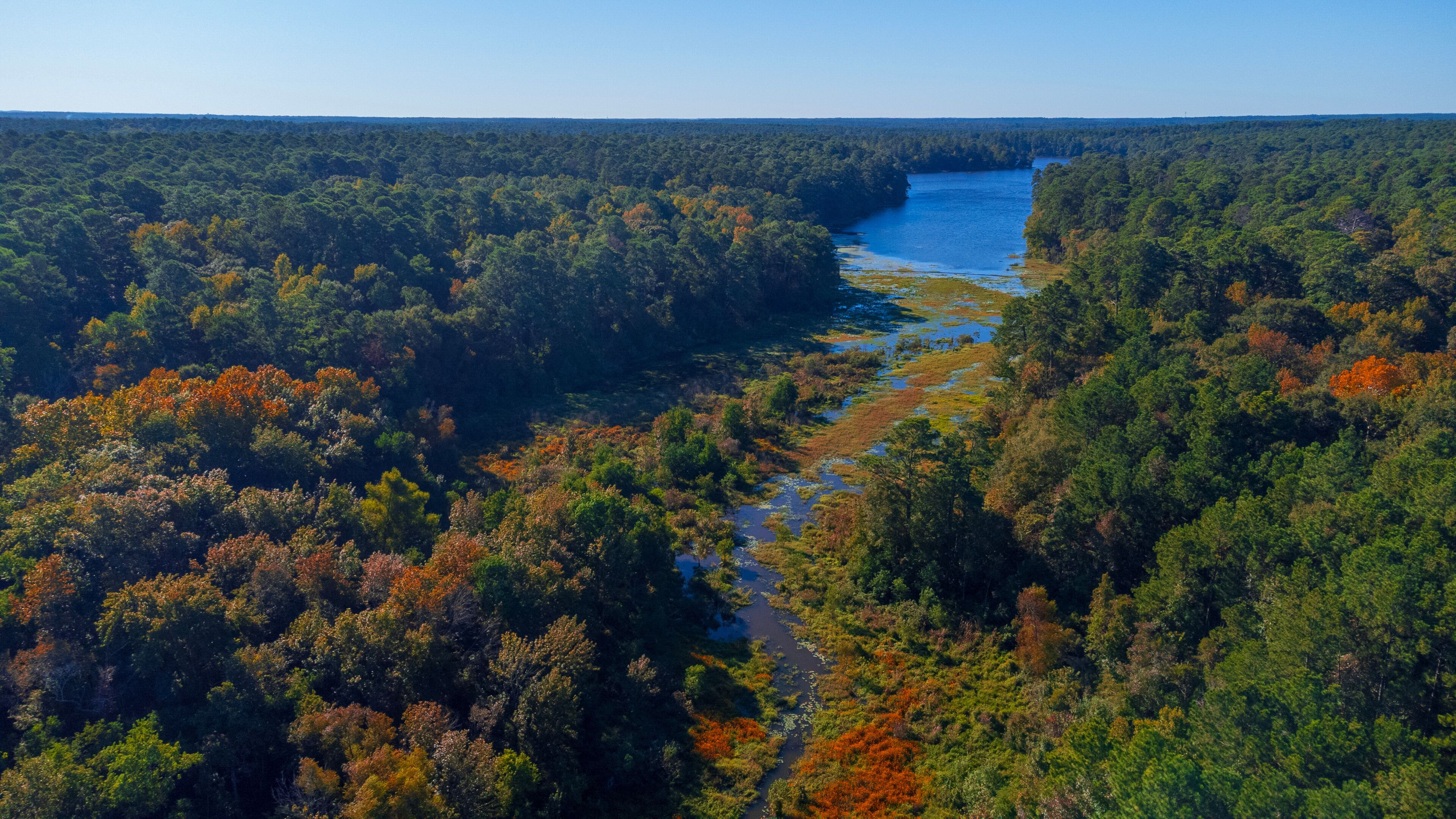 Top 10 Hotels in Cedar Hill, TX | Hotels.com