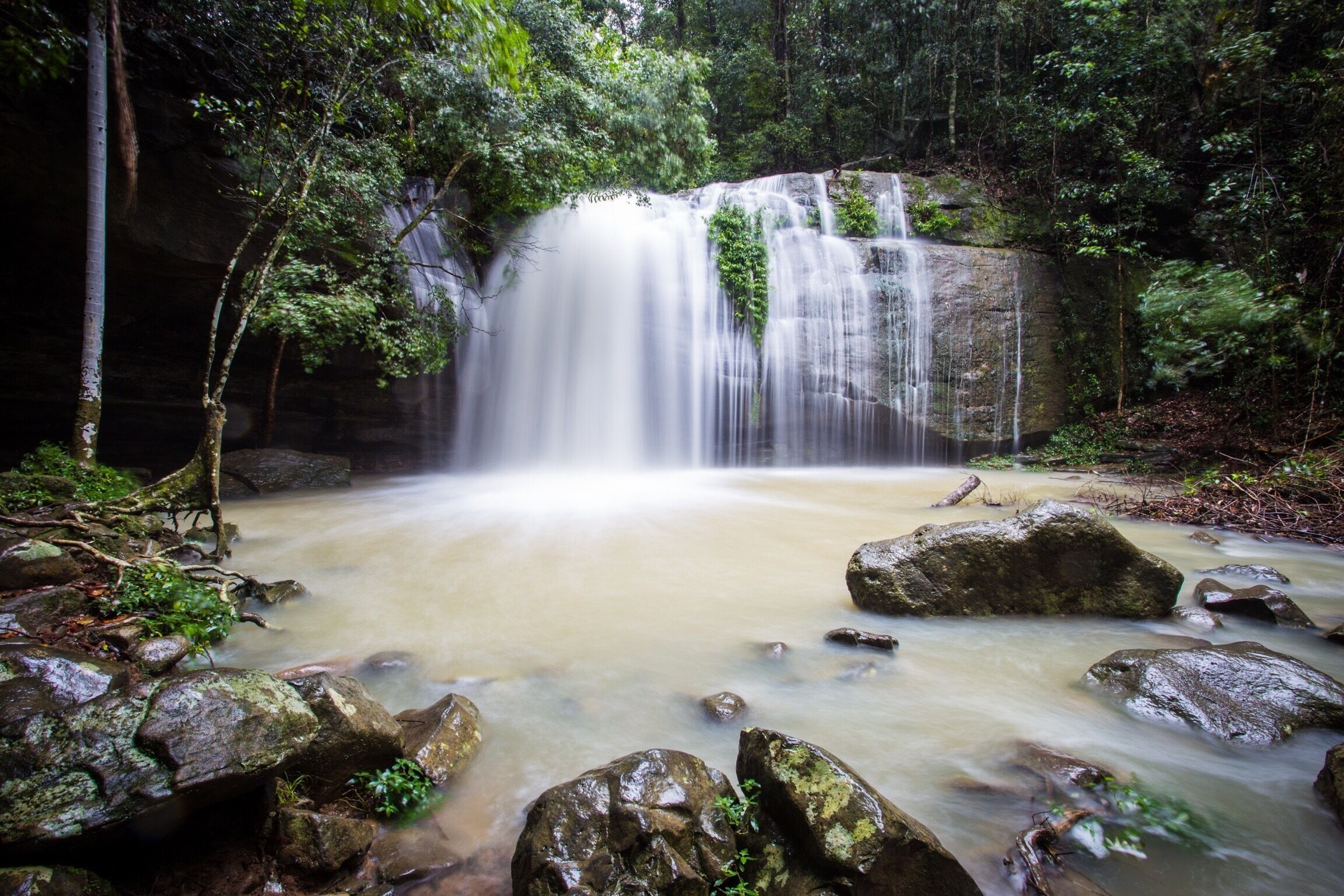 Serenity Falls or Buderim Falls in full flow after rain. Enjoy a comfortable hike through the rainforest and stop at the popular waterfall. Many people swim in the waterhole here and a little further downstream.
#takeahike