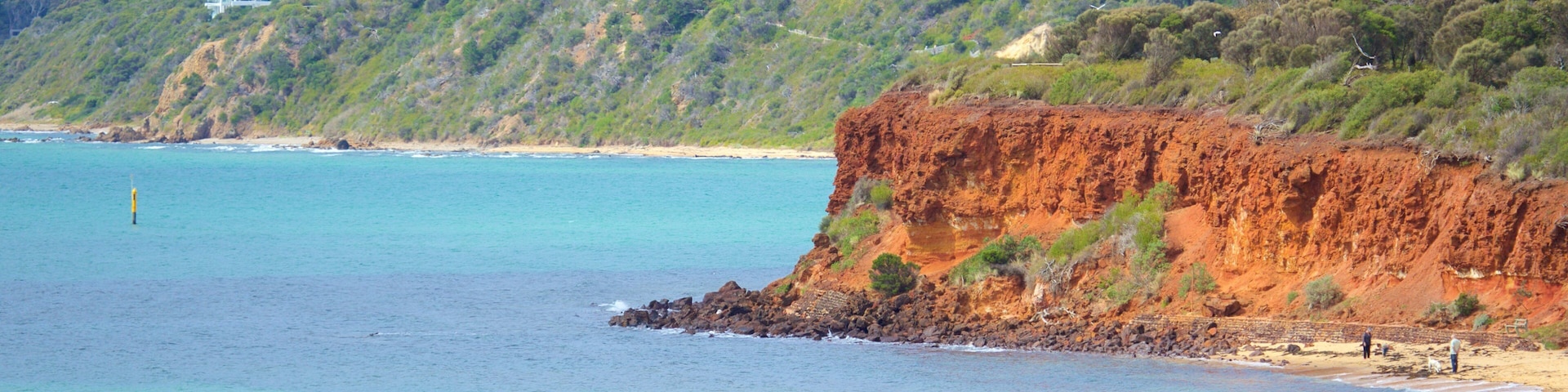 Mornington showing general coastal views
