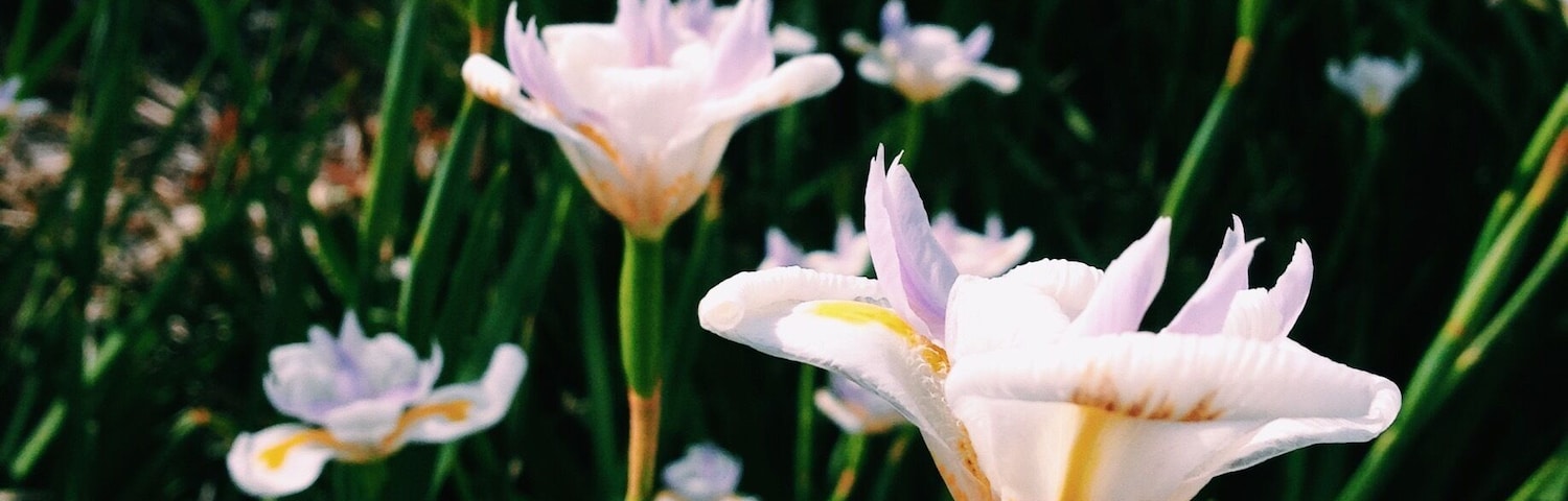 This picture was taken in Melbourne. The first city I visited in Australia. It is winter time and is very nice weather to wandering around.