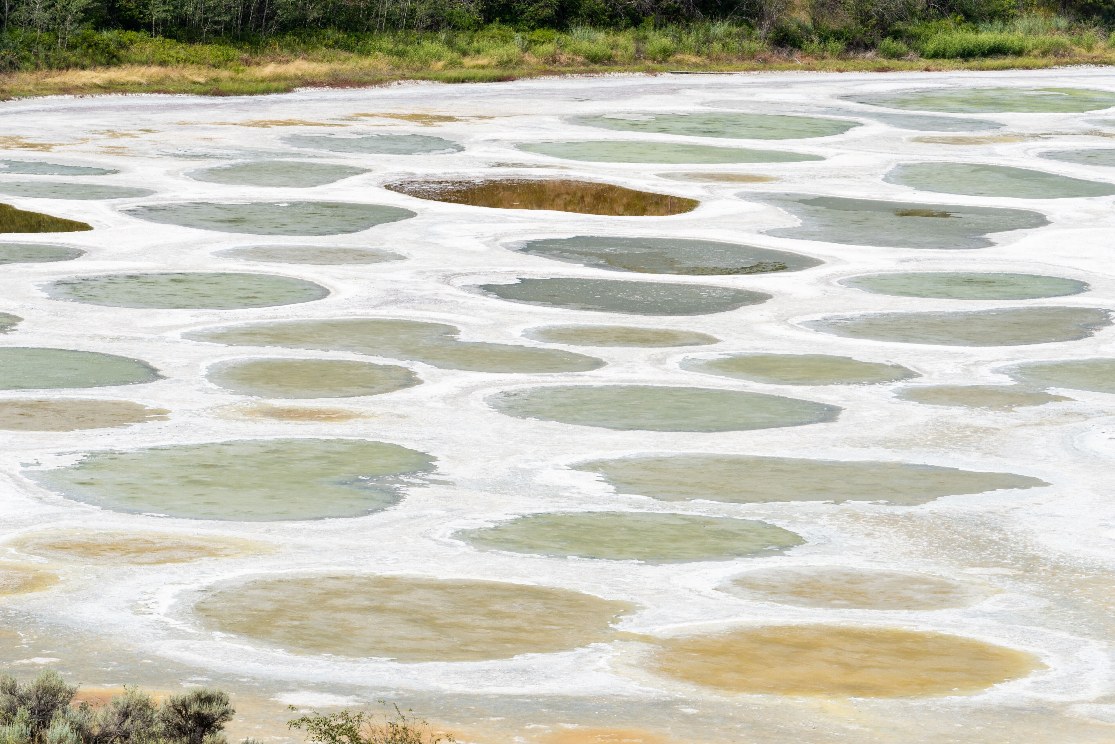 Uma série de depósitos minerais circulares em uma paisagem natural.
