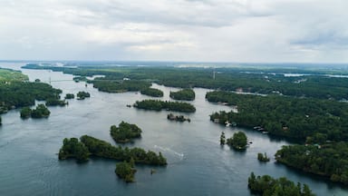 Vista aérea de um rio com inúmeras ilhas pequenas cobertas por vegetação densa.