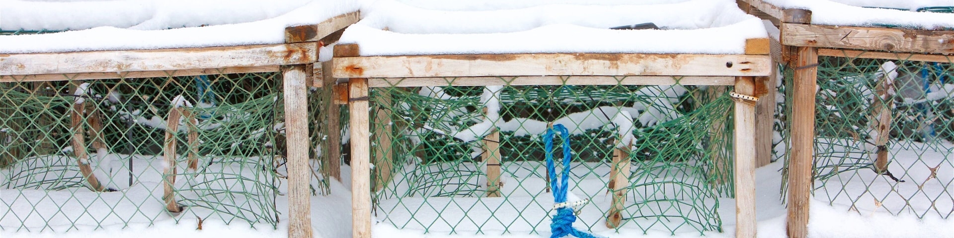 North Rustico mostrando neve