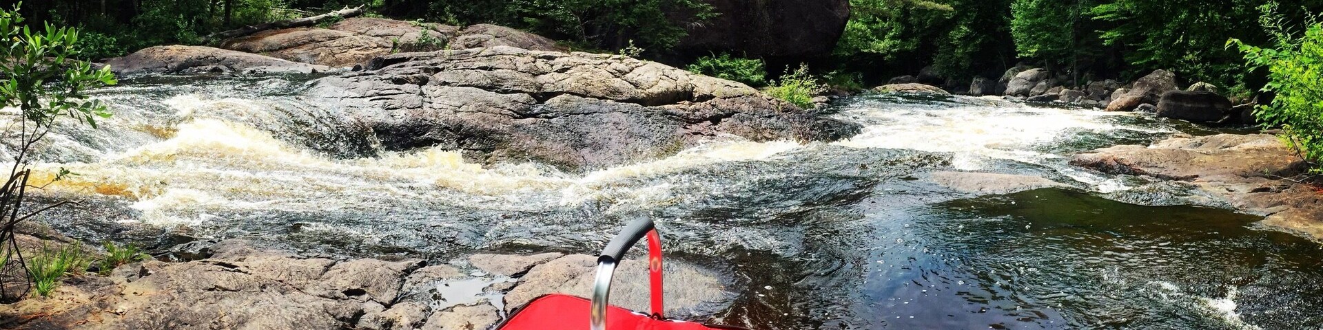 Um cooler vermelho sobre pedras perto de um rio corrente em uma floresta.
