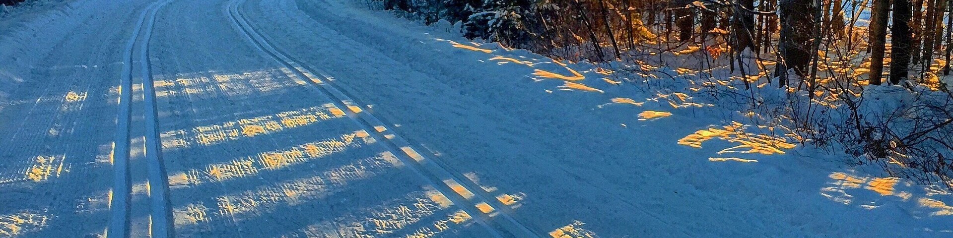 Uma estrada coberta de neve com sulcos de pneus e árvores em ambos os lados.