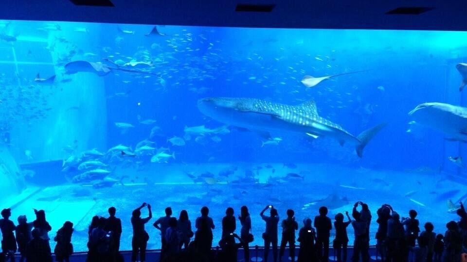 One of the biggest tanks in Japan.