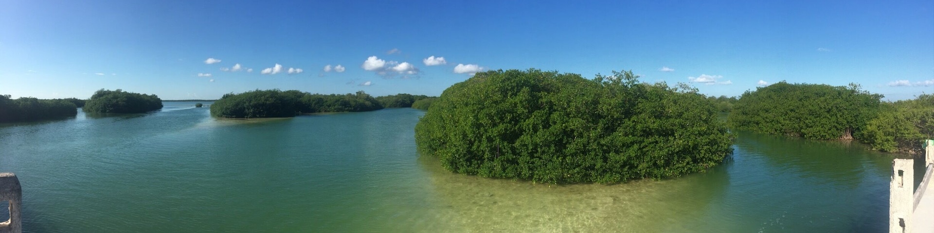 My 2016 #lifeatexpedia