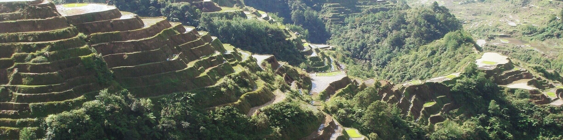 Campos de arroz em socalcos numa região montanhosa.