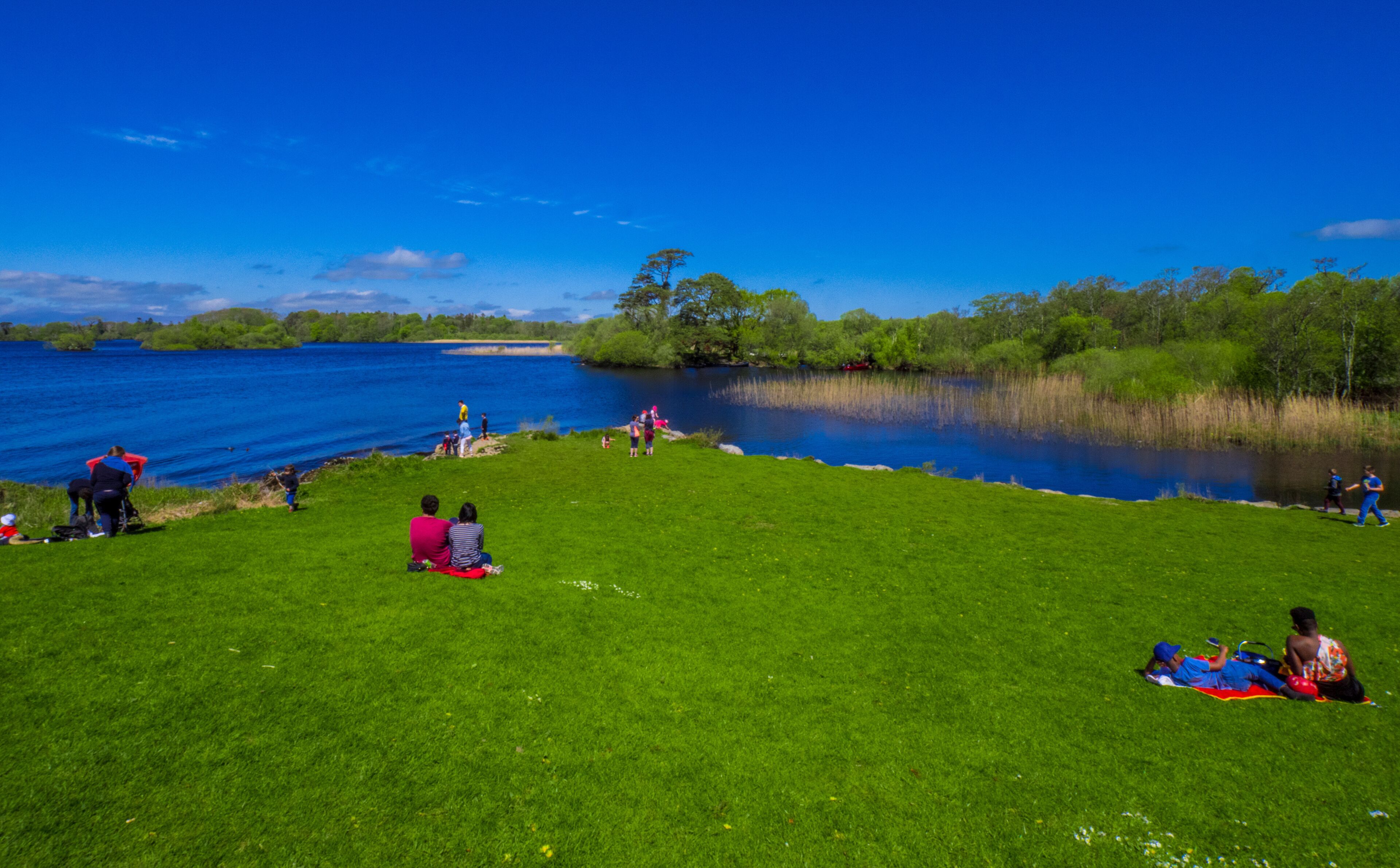 Uma área gramada à beira do lago, com pessoas relaxando e caminhando pela margem.