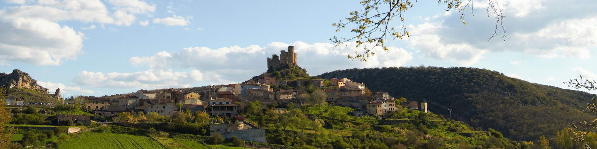 Pelegrina