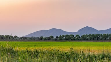 Paisagem com duas montanhas, um campo e uma fileira de árvores.