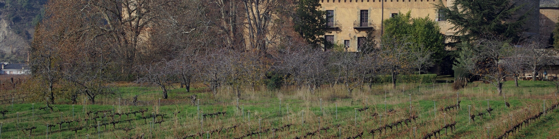 Villafranca del Bierzo castle and vineyards (León, Spain)